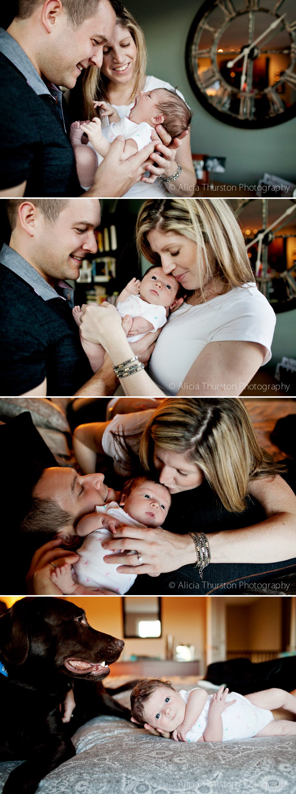 Steph and Aaron {Baby Love} - Kitchener Newborn Photographer | Showit Blog